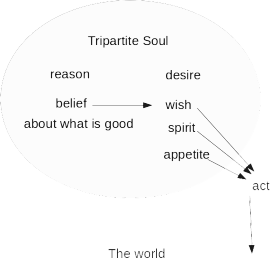Platonic Theories | The Tripartite Theory of the Soul